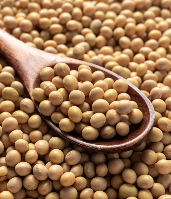Soya Beans Flour (Roasted) - Aadan Natural Healthy Store